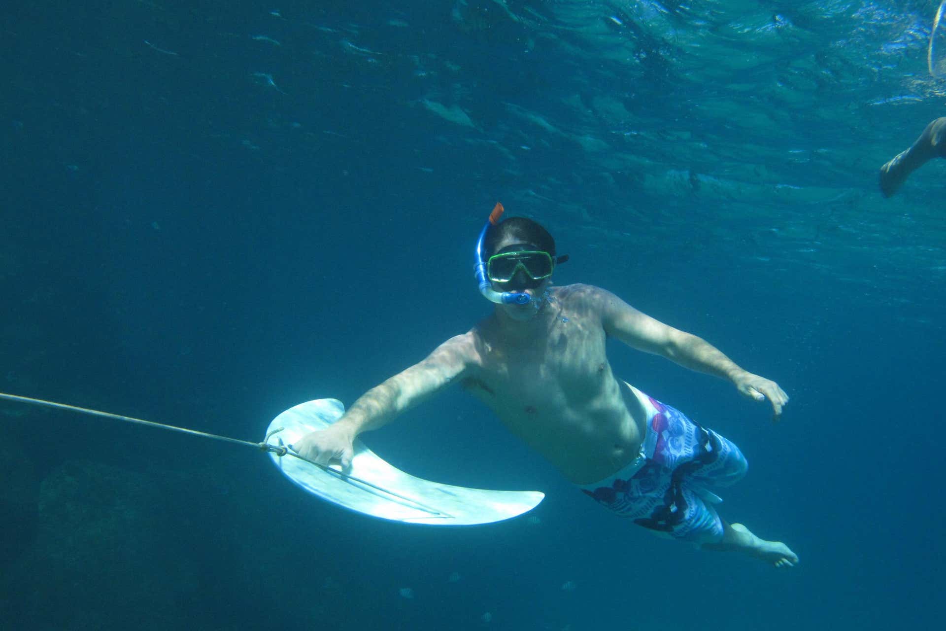 Subwing à Fernando de Noronha - Réservez sur Civitatis.com