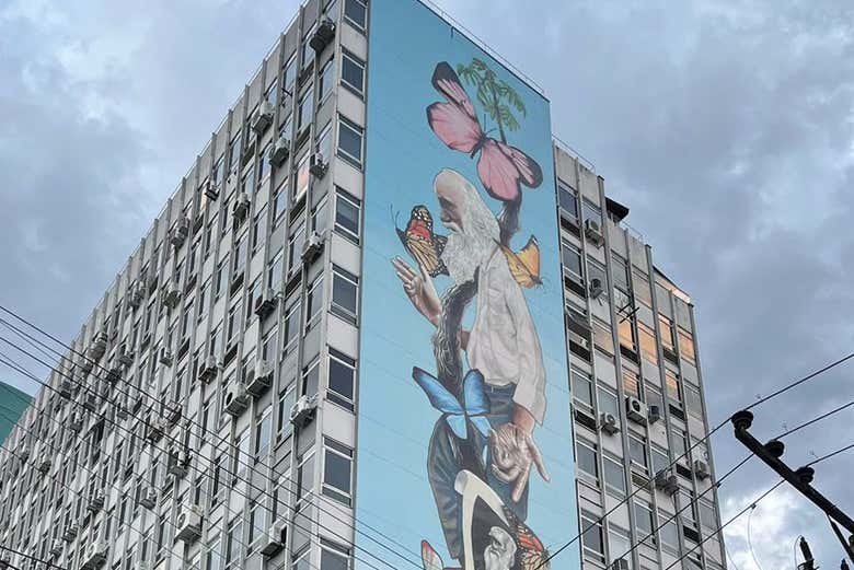 Florianópolis Street Art Free Tour, Florianopolis - Civitatis.com