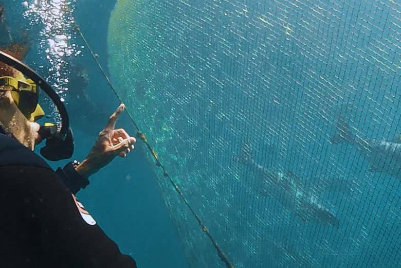 Visite de la ferme piscicole de la Costa Verde d'Ilha Grande