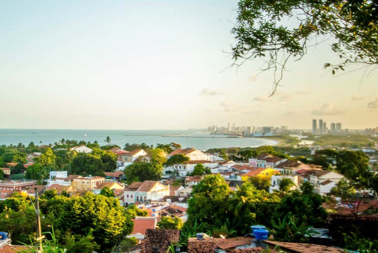 Recife & Olinda Private Excursion from João Pessoa