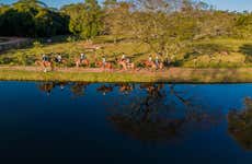 Activities, Guided Tours and Day Trips in Miranda - Civitatis.com