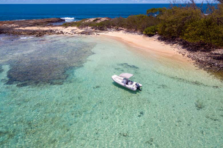 Excursión a la isla de Santo Aleixo desde Recife - Civitatis.com