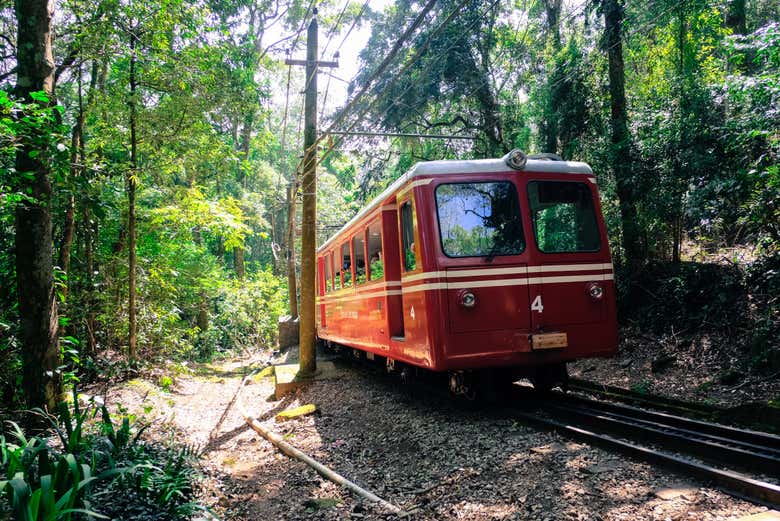 Christ the Redeemer by Train + Sugarloaf Mountain Tour, Rio de Janeiro ...