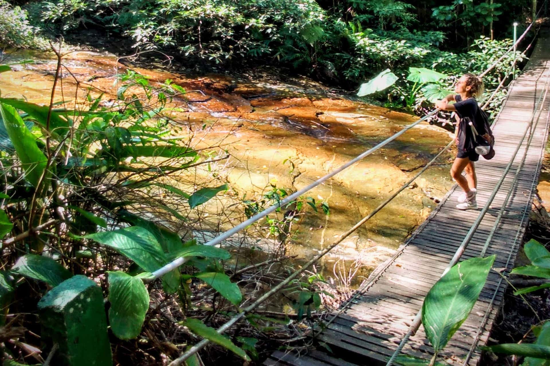 Senderismo por el Parque Nacional de Tijuca desde Río de Janeiro