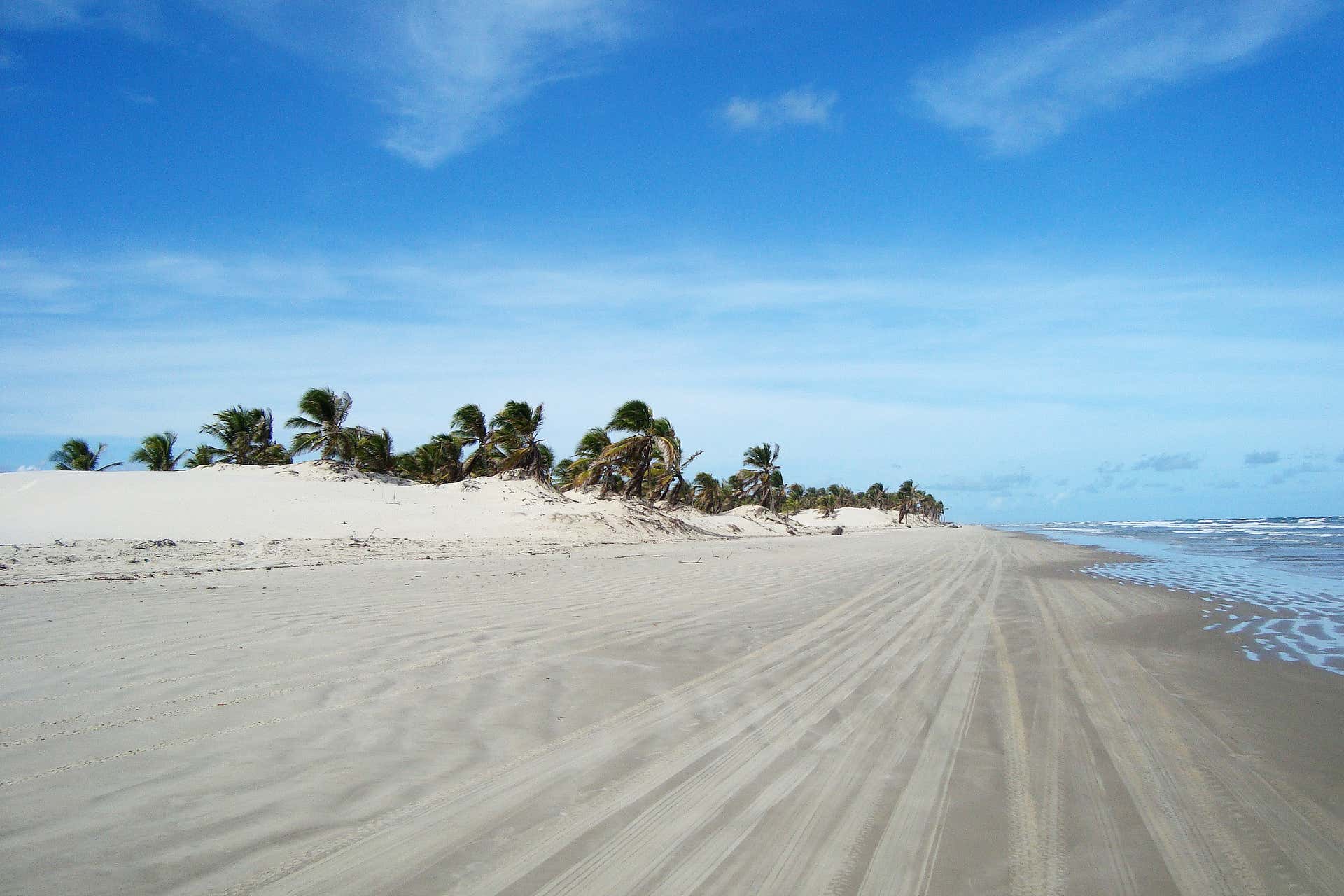 Excursión a Mangue Seco desde Salvador de Bahía - Civitatis.com