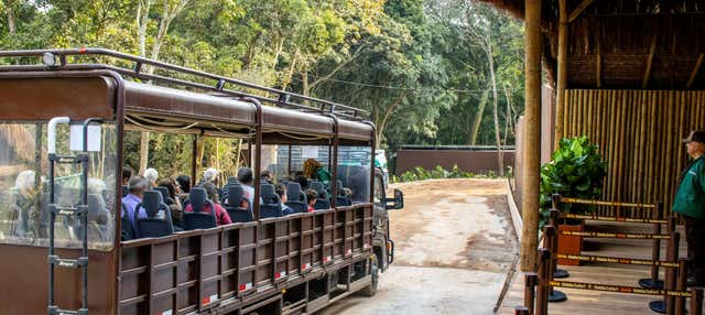 Ingresso do Simba Safari, São Paulo - Civitatis.com Brasil
