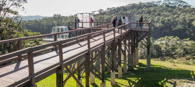 Excursion au parc écologique Imigrantes depuis São Paulo - Civitatis