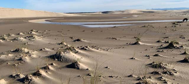 Trilha pelo Parque das Dunas, Tramandaí - Civitatis.com Brasil