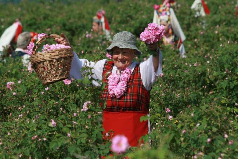 Rose Valley Tour from Sofia + Buzludzha Monument - Civitatis.com