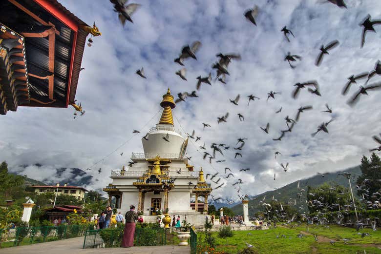 Bhutan Tour Package: 8 Days, Paro