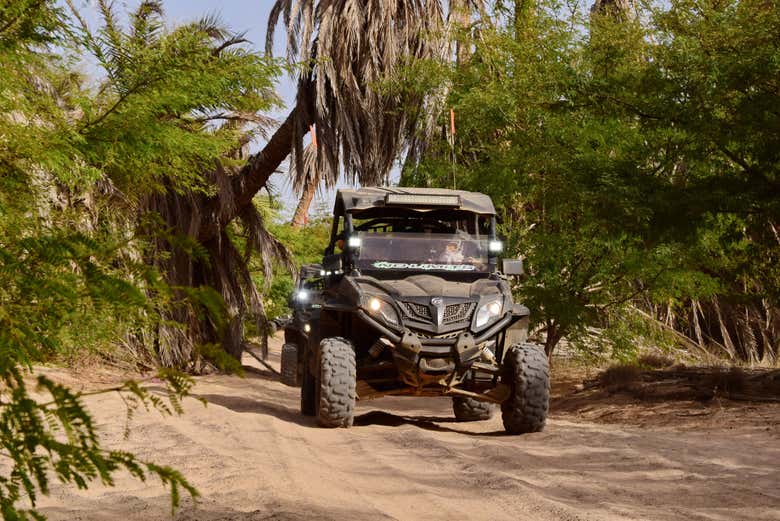 Tour en buggy por la isla de Sal desde Santa María - Civitatis