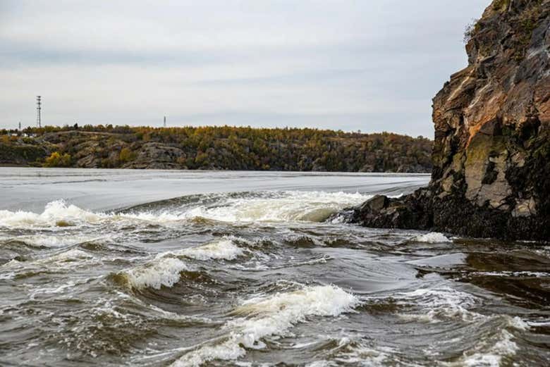 Paseo en barco por las cascadas de Reversing Falls desde Saint John