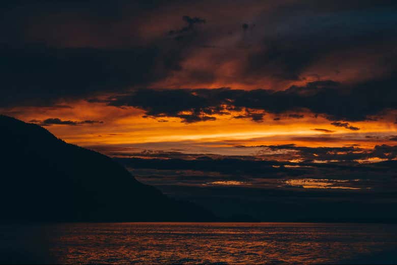 Johnstone Strait Evening Kayak Tour, Telegraph Cove