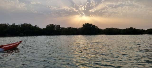 Al Thakira Reserve Kayak Tour From Doha - Book at Civitatis.com