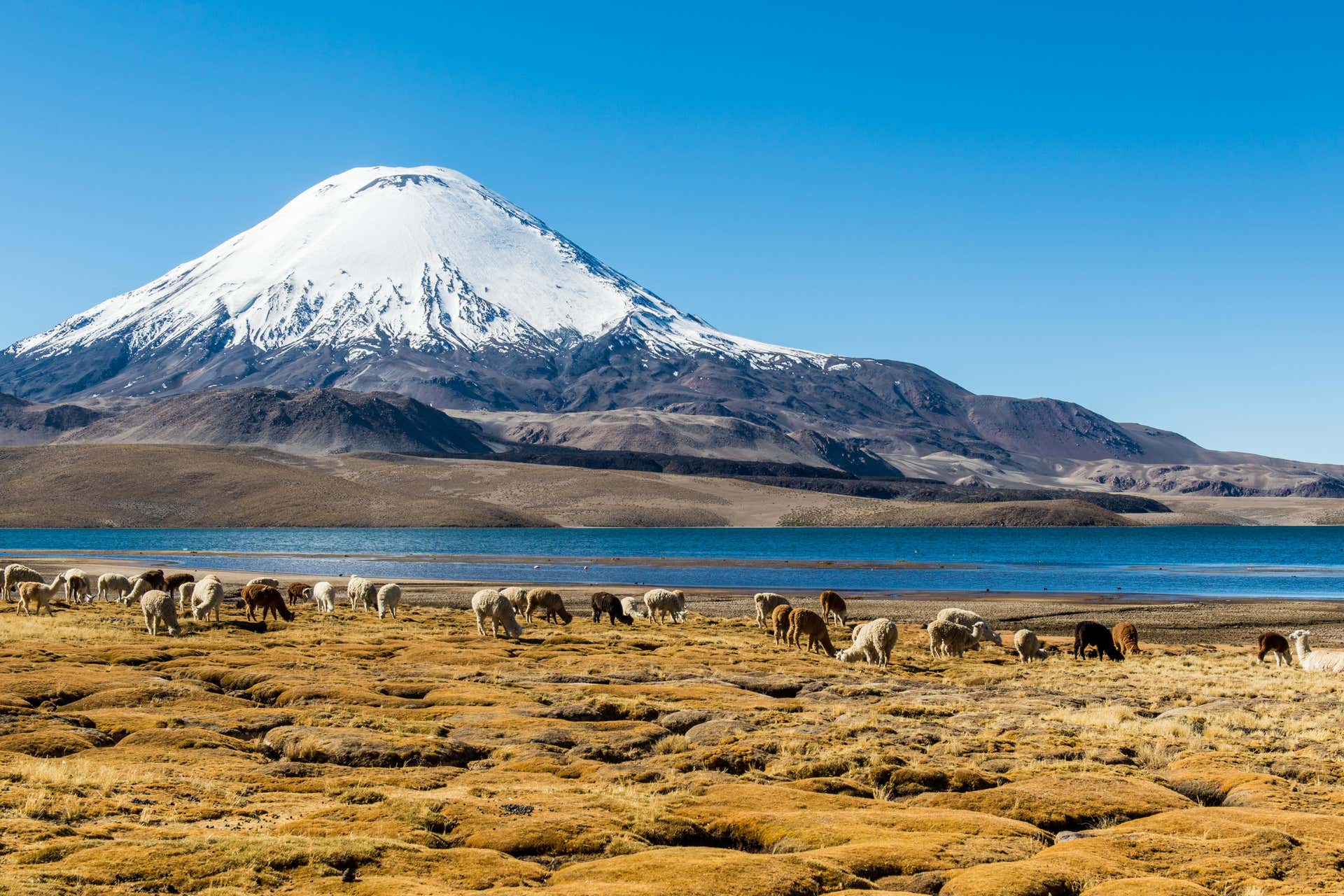 Excursión al lago Chungará desde Arica - Civitatis.com