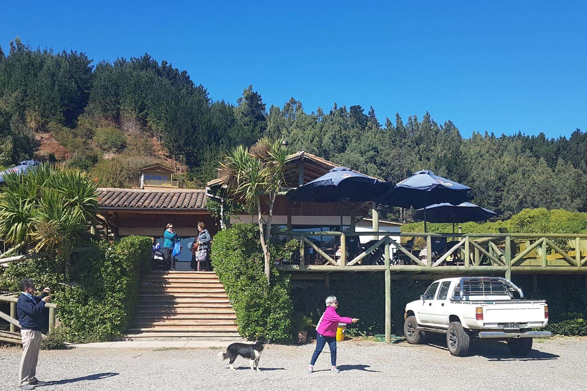 Excursión a Ninhue y Buchupureo desde Concepción - Civitatis.com