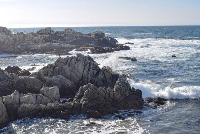 Free tour por Concón, Concón - Civitatis.com Portugal