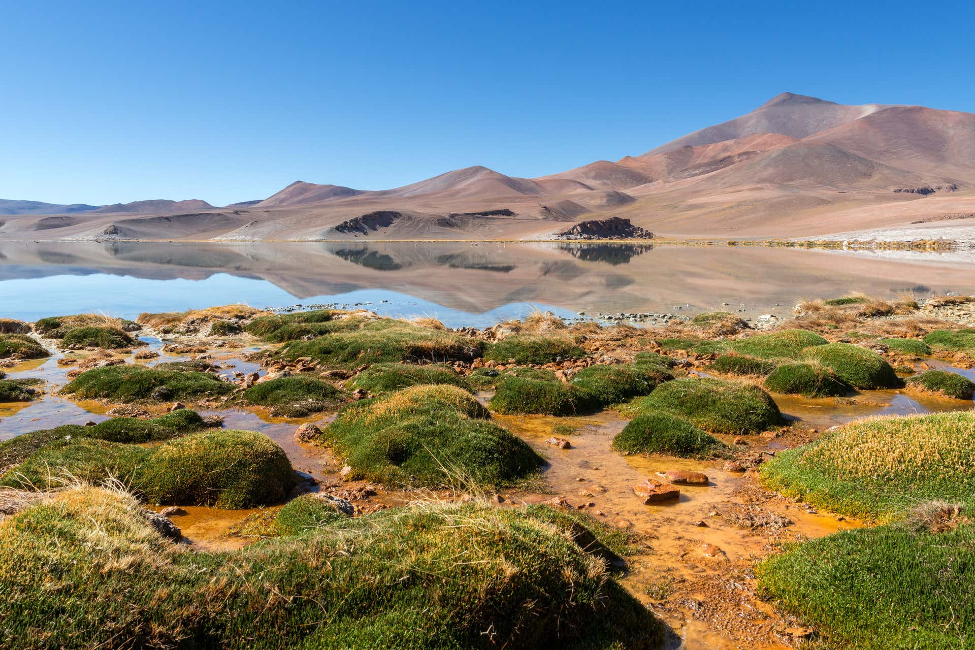 Tour de 2 días por las lagunas de la región de Atacama, Copiapó