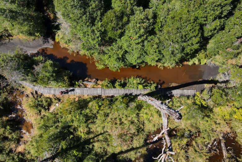 Lake Cabrera Hiking Tour from Hornopirén, Hornopiren