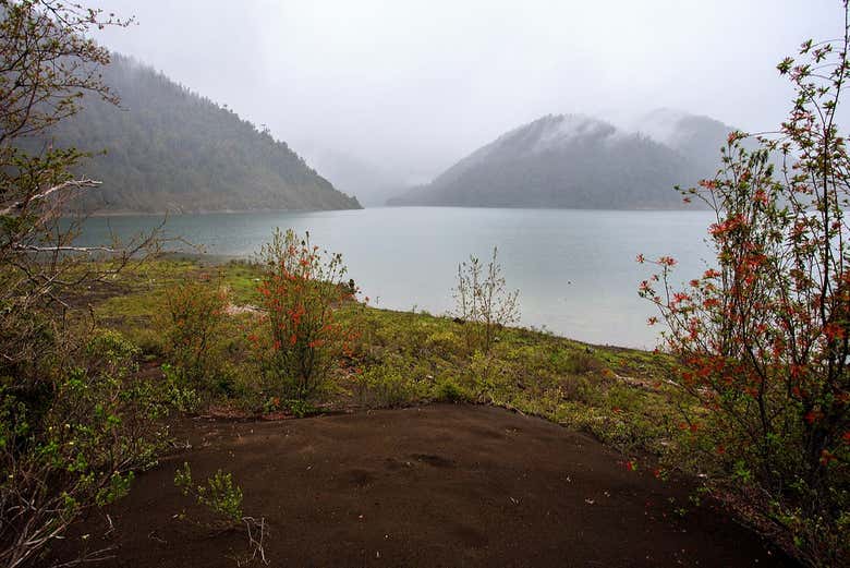 Lake Cabrera Hiking Tour from Hornopirén, Hornopiren - Civitatis