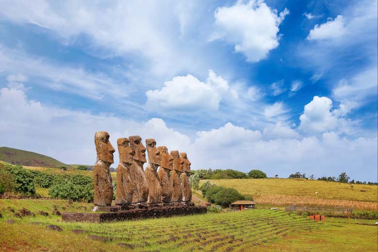 Excursion privée à Ana Kakenga et Ahu Akivi, Île de Pâques