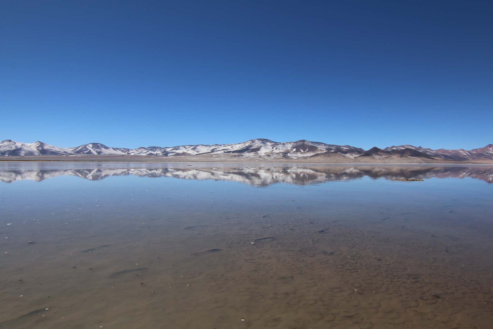 Excursión al salar de Huasco y Tambillo desde Pica