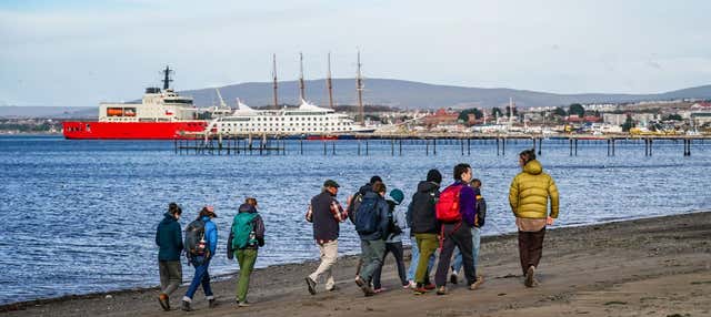 Punta Arenas Free Walking Tour - Book Online at Civitatis.com