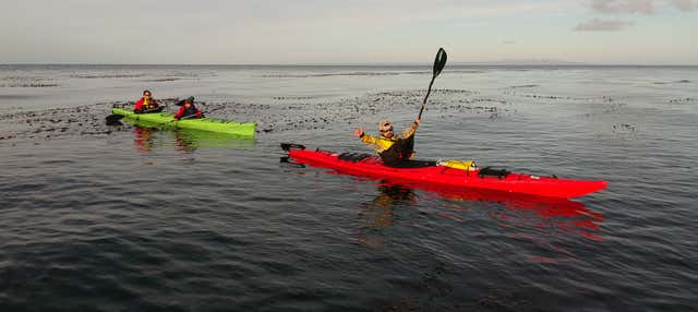 Strait of Magellan Kayaking Tour from Punta Arenas - Reviews