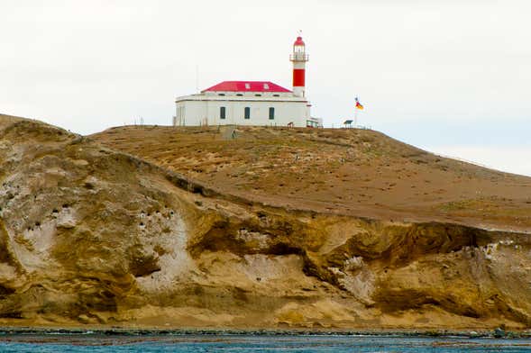The best unforgettable Activities in Punta Arenas, Chile | Visit Sights
