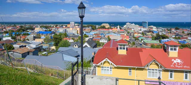 Punta Arenas Tour for Cruises - Book Online at Civitatis.com