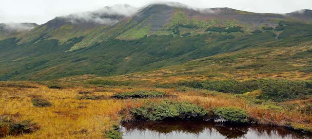 Mount Tarn Hiking Tour from Punta Arenas - Book at Civitatis.com