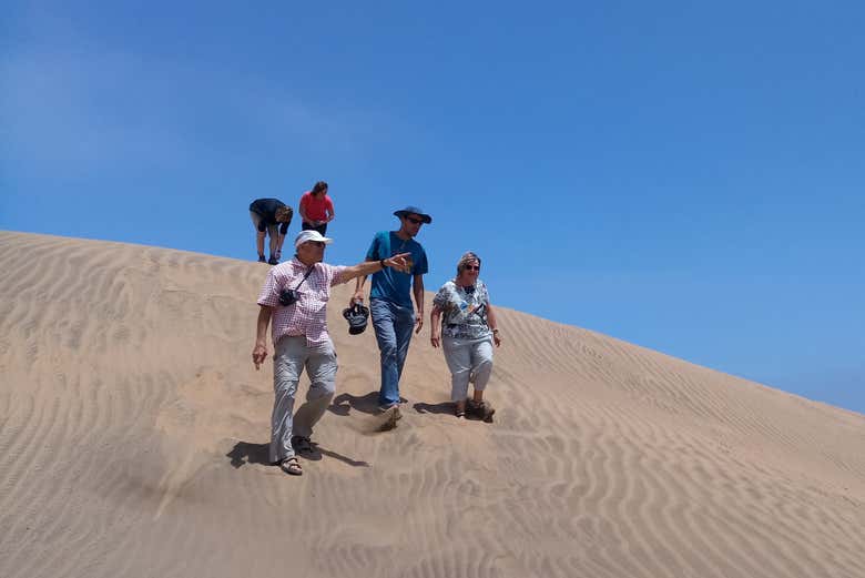Concón Surfing Lesson & Dunes Hike from Reñaca, Reñaca