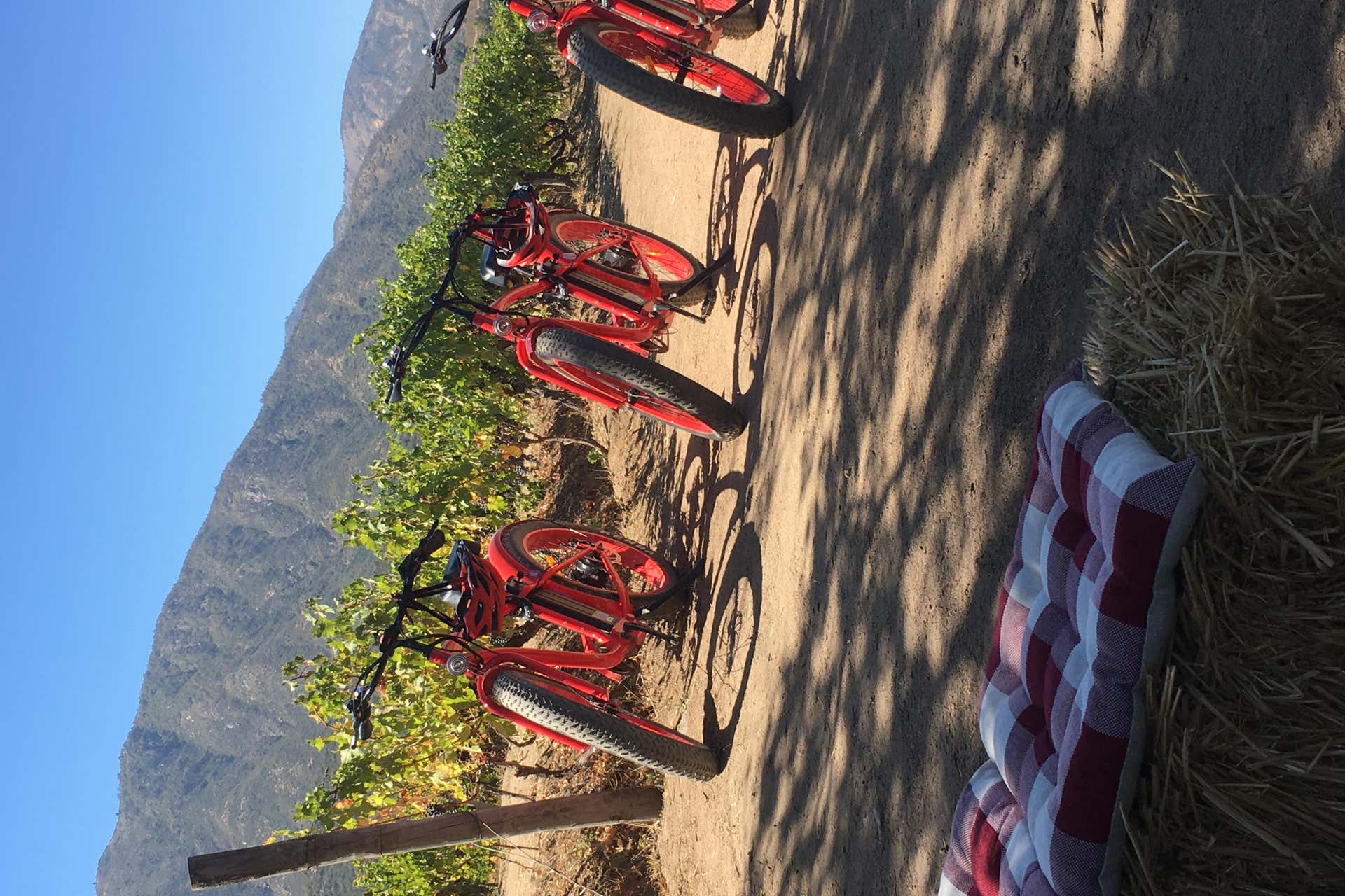 Electric bike tour through the vineyards of the Apalta Valley from ...