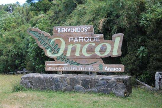 Senderismo por el Parque Oncol desde Valdivia - Civitatis.com