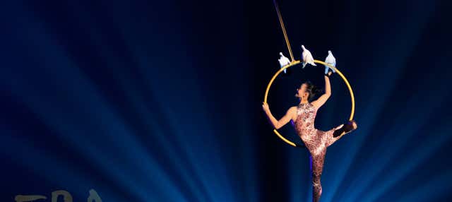 Avis - Entrées spectacle acrobatique ERA au Shanghai Circus World