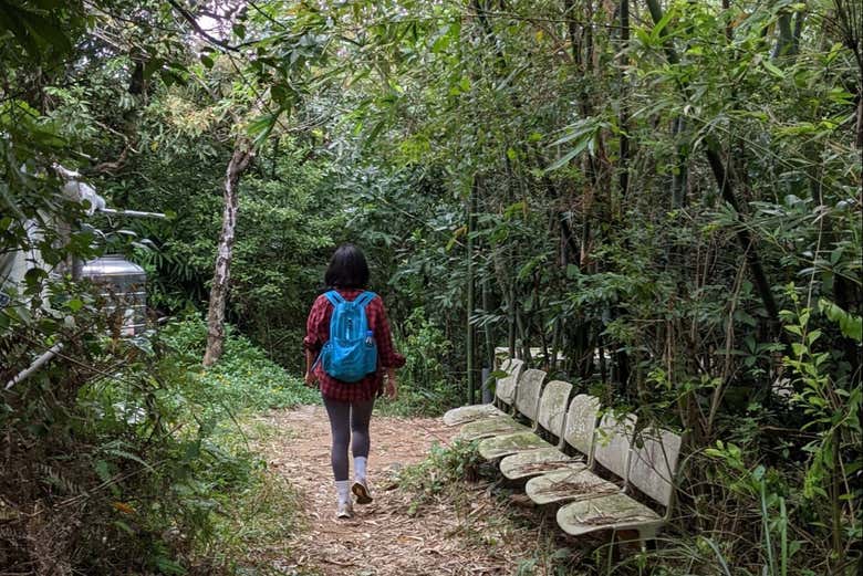 Free tour del monte Jiantan, Taipei - Civitatis.com