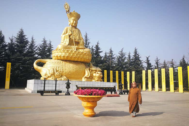 Famen Temple and Yuanjiacun Village Tour from Xi'an