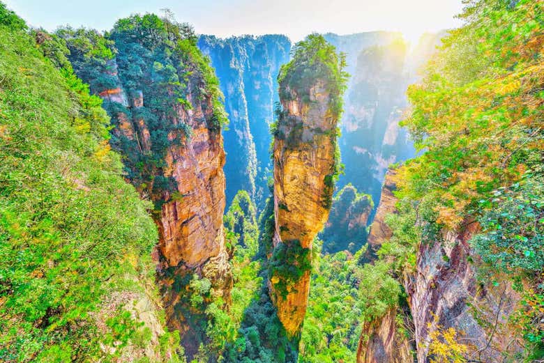 Tianzi Mountains