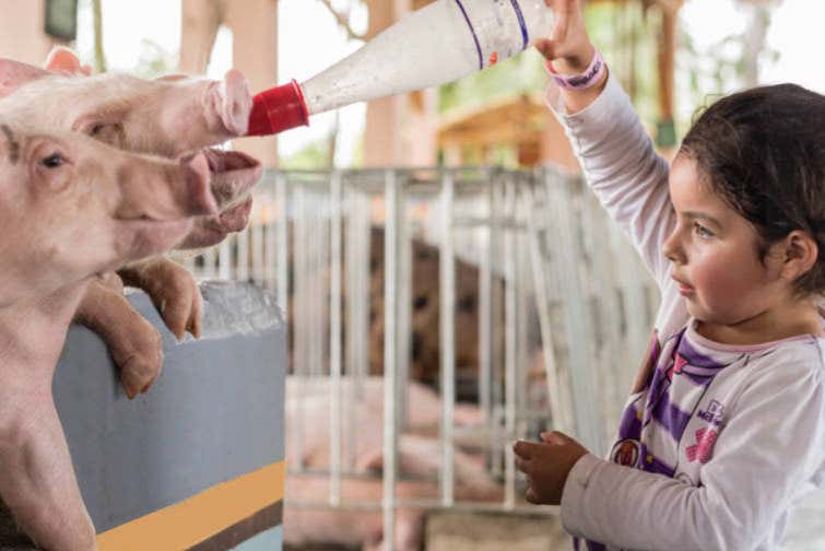 Excursión al Parque Panaca desde Armenia - Civitatis.com