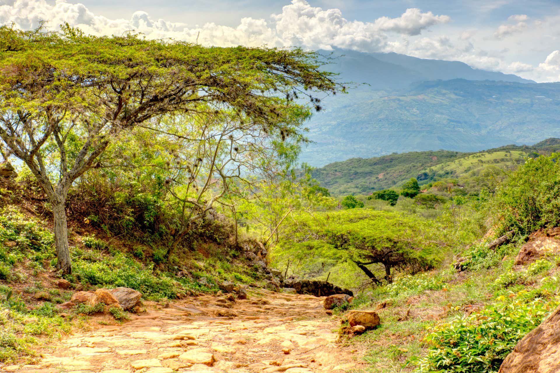 Senderismo por el Camino Real a Guane desde Barichara