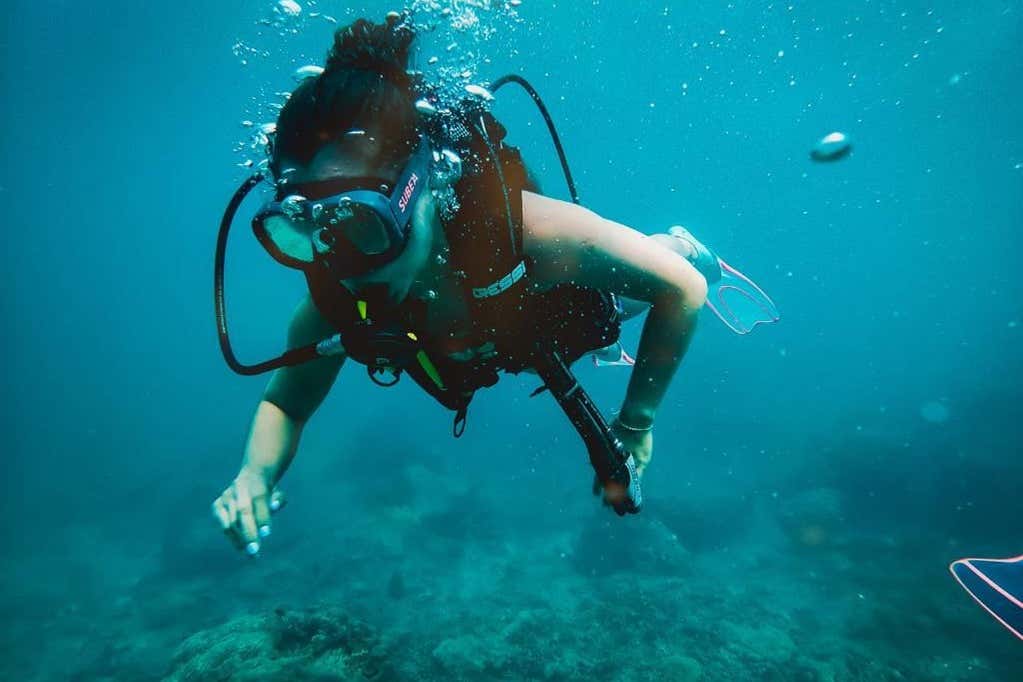 Baru PADI Open Water Diver Course, Barú
