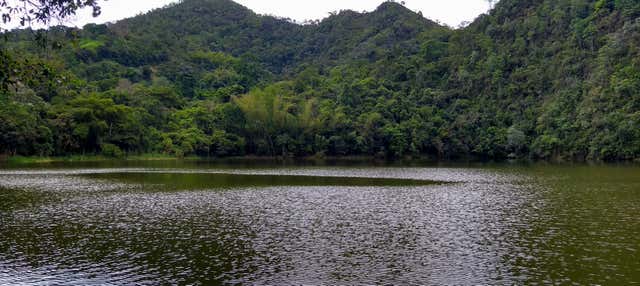 Excursión a la laguna El Tabacal + Visita a la finca cafetera Gallito ...