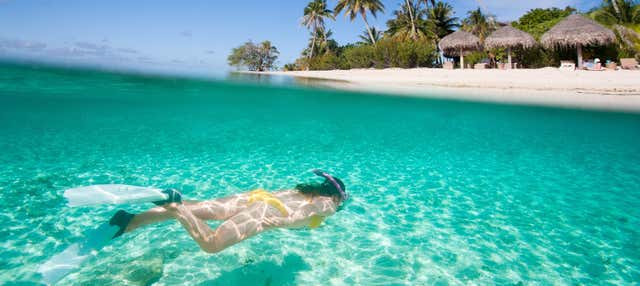 Excursión a la Isla Cholón desde Cartagena de Indias - Civitatis