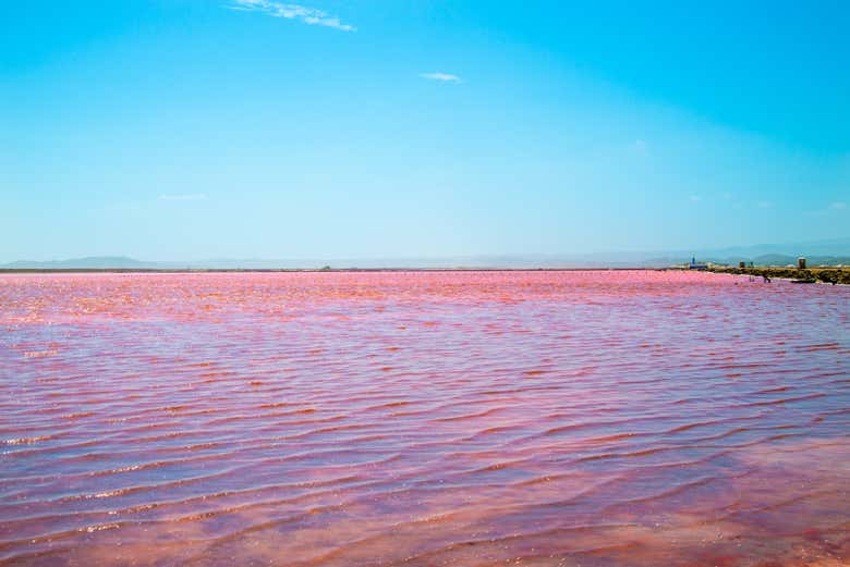 Excursión al volcán del Totumo y mar Rosado desde Cartagena, Cartagena ...
