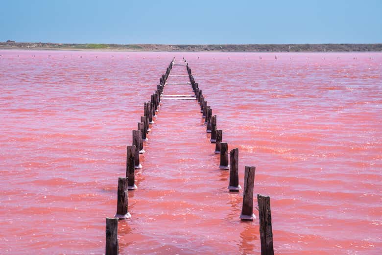 Excursión al volcán del Totumo y mar Rosado desde Cartagena, Cartagena ...