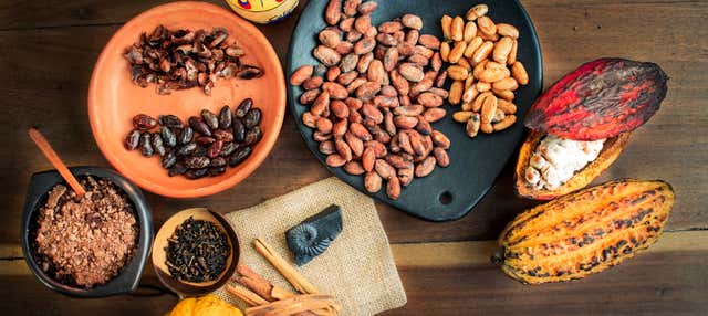 San Rafael Cocoa Tour, Guatapé - Civitatis.com