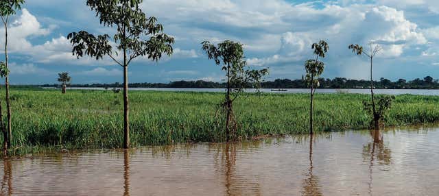 Private Tour of Leticia - Book Online at Civitatis.com