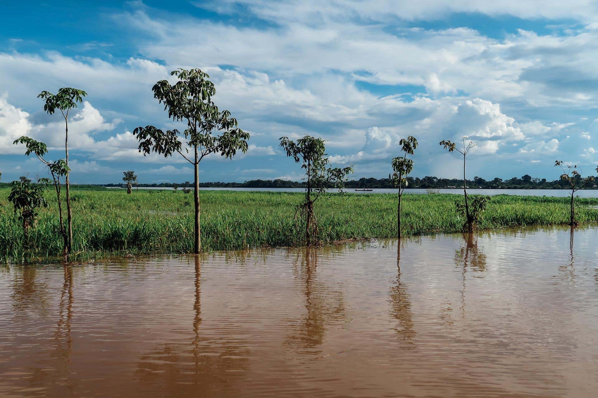 Private Tour of Leticia - Book Online at Civitatis.com