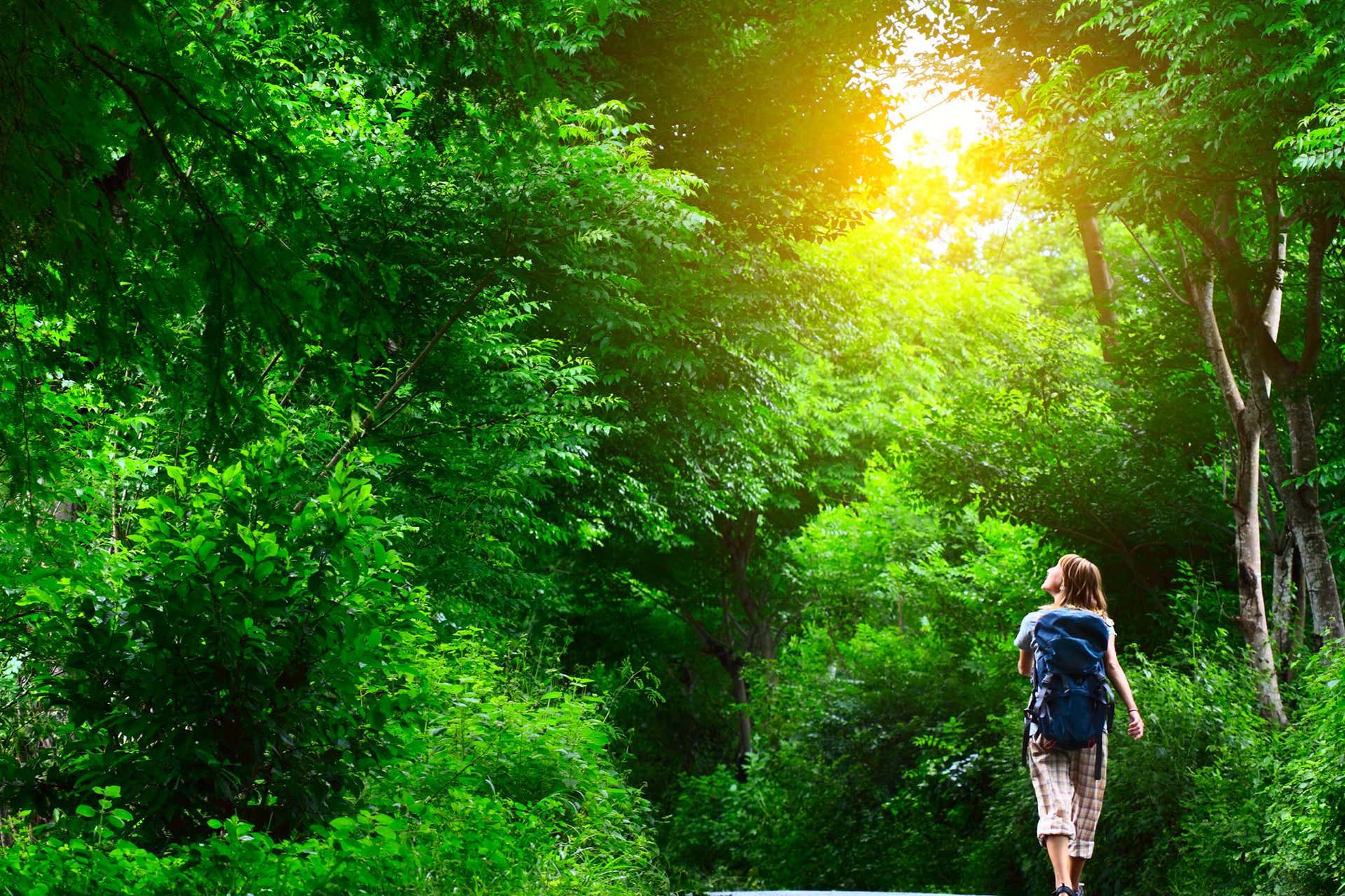 Excursión al Parque Arví desde Medellín - Civitatis.com