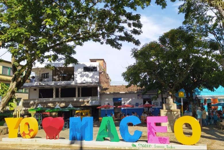 Visite d'une exploitation de cacao à Maceo depuis Medellín